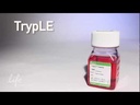 Gibco™ TrypLE™ Express Enzyme (1X), phenol red | LabMart Limited